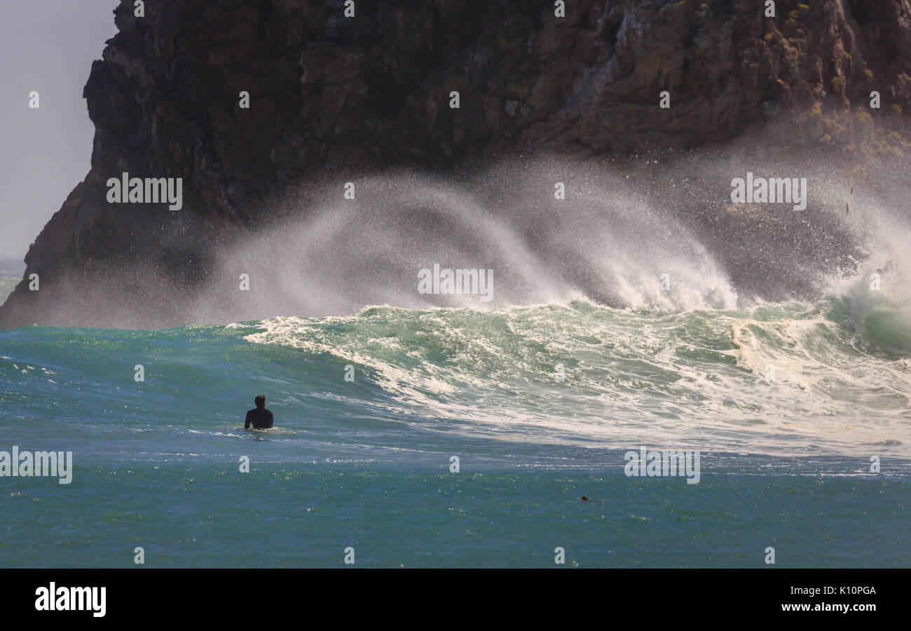 Surfer waits for wave with strong offshore breeze raising a tall spray ...