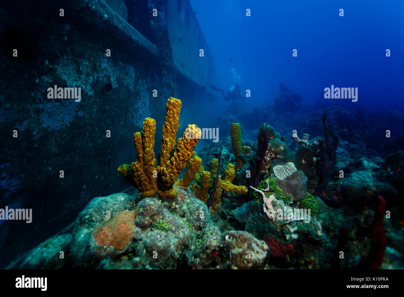 Fish around shipwreck hi-res stock photography and images - Alamy