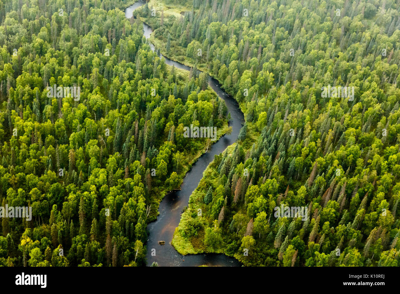Taiga Aerial High Resolution Stock Photography and Images - Alamy