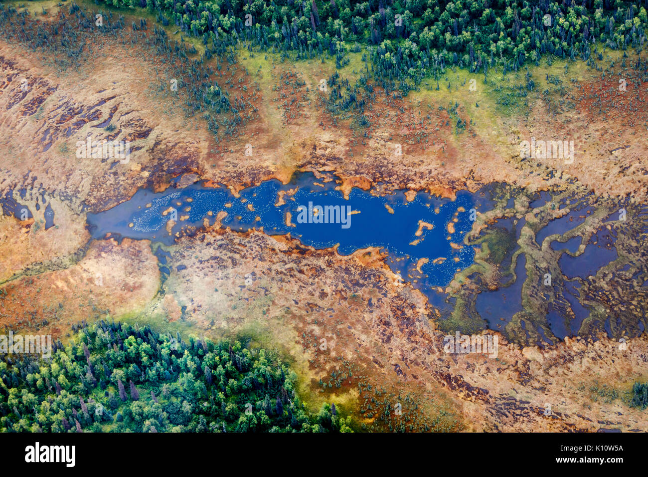 Taiga aerial hi-res stock photography and images - Alamy