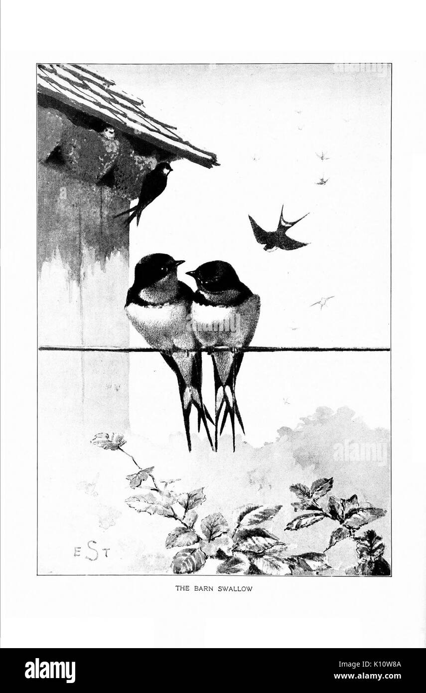 Book of portraits Black and White Stock Photos & Images - Alamy