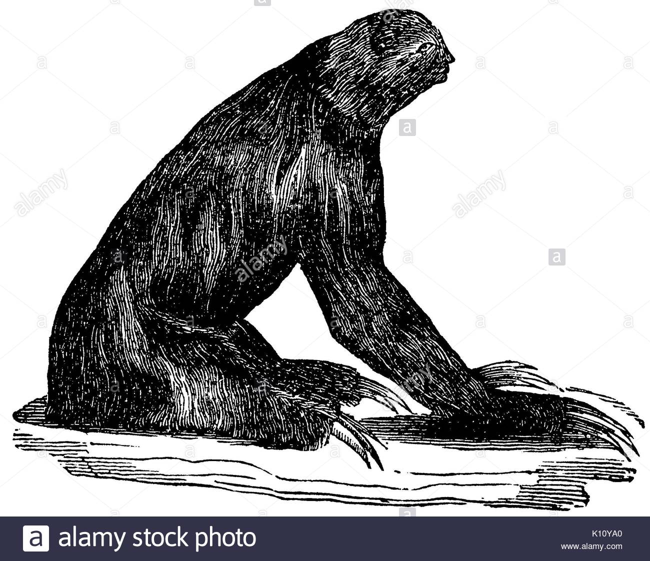 Licinius Stock Photos & Licinius Stock Images - Alamy