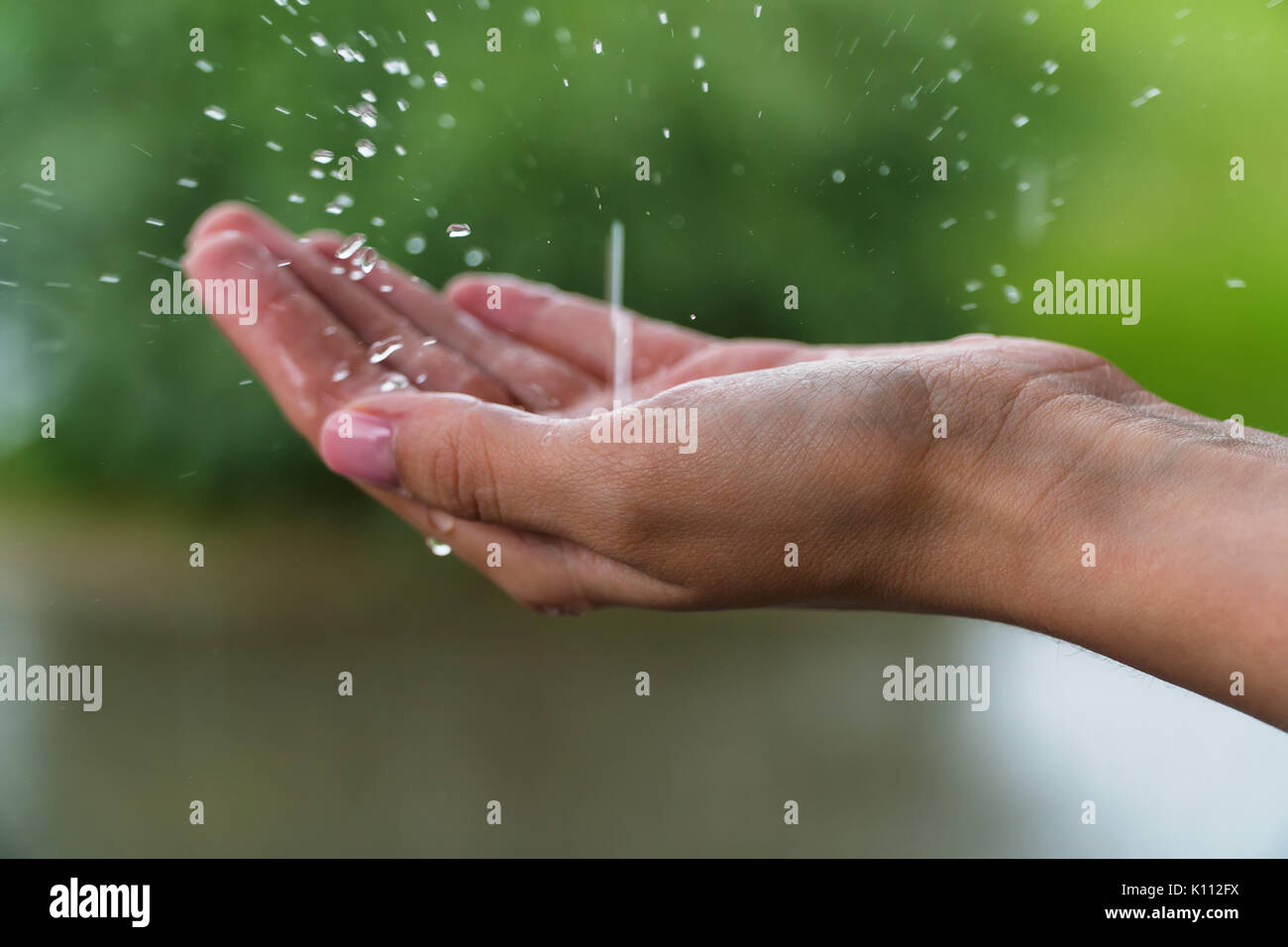 Hand In Rain. Hand get wet in the rain on a blurred background of trees ...