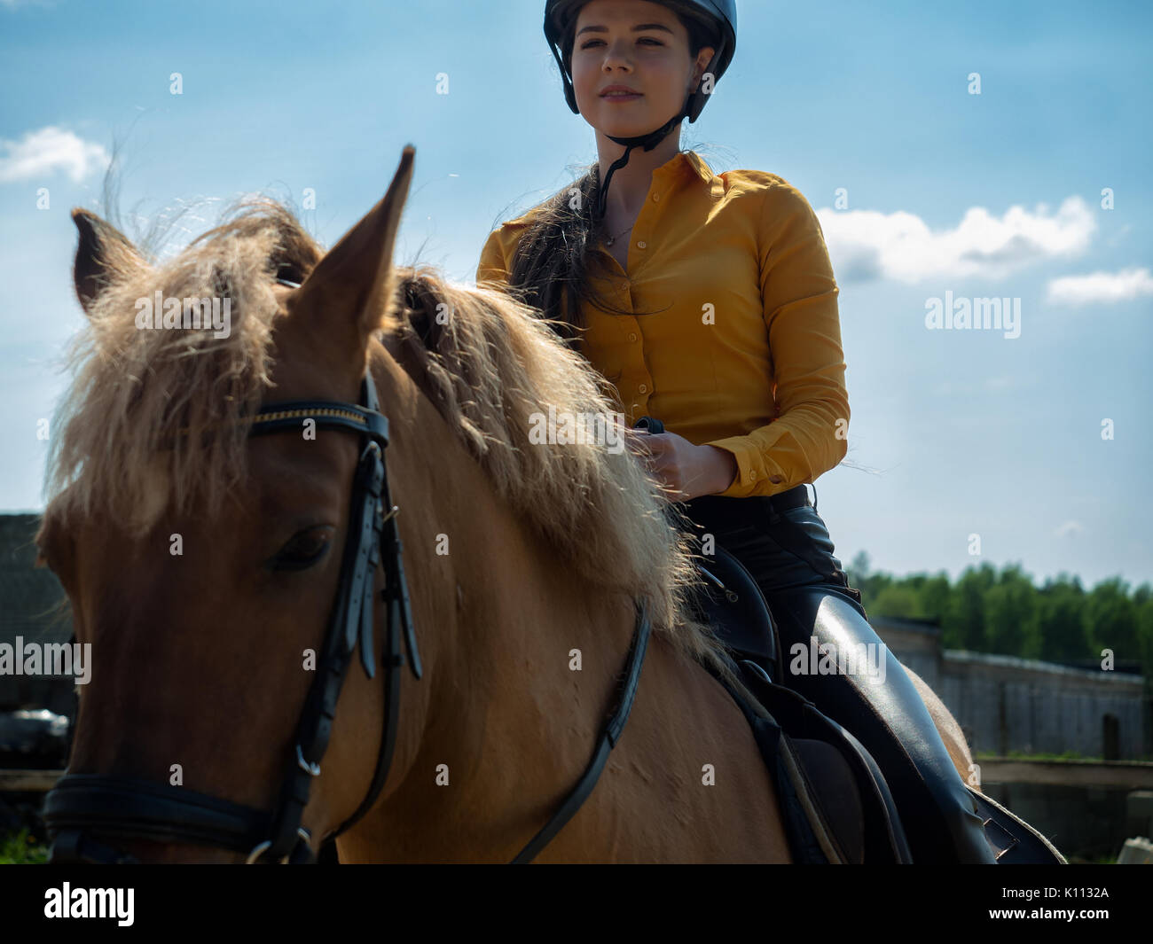 Young cheerful girl rides on a brown horse. Riding training. Horseback ...