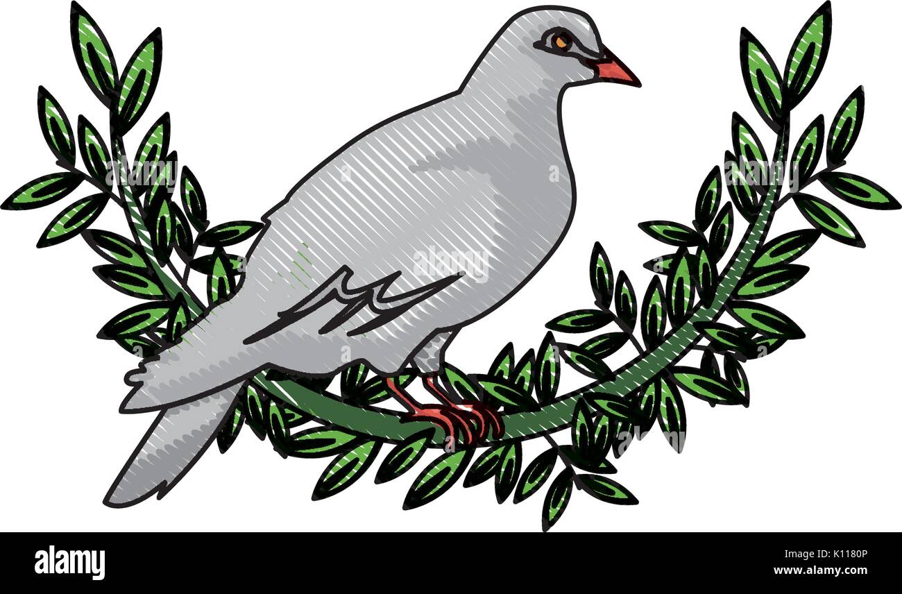 Dove With Olive Branch Stock Photos & Dove With Olive Branch Stock ...