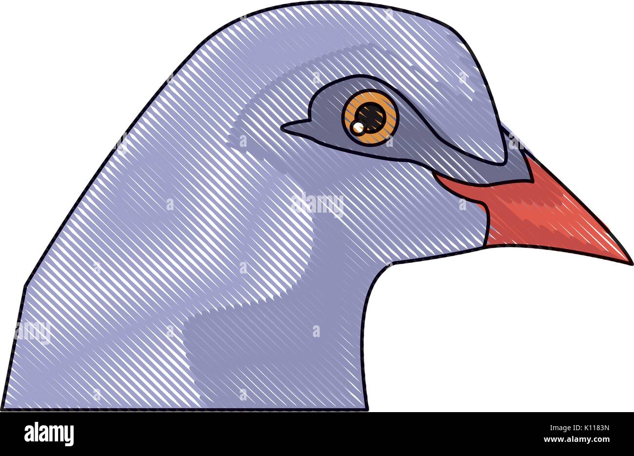 Pigeon Head Stock Vector Images - Alamy