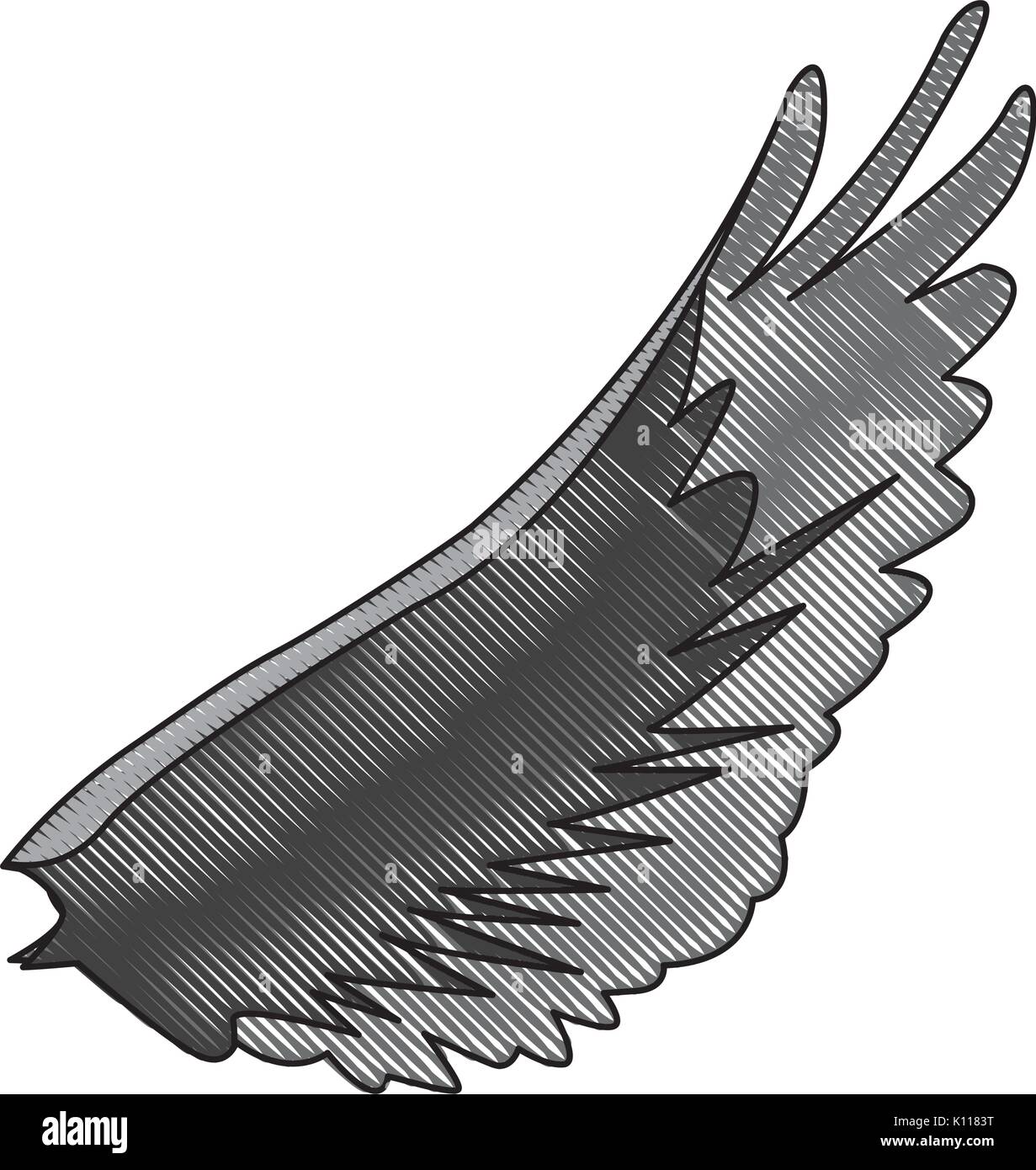 bird wing feathers dove animal Stock Vector Image & Art - Alamy