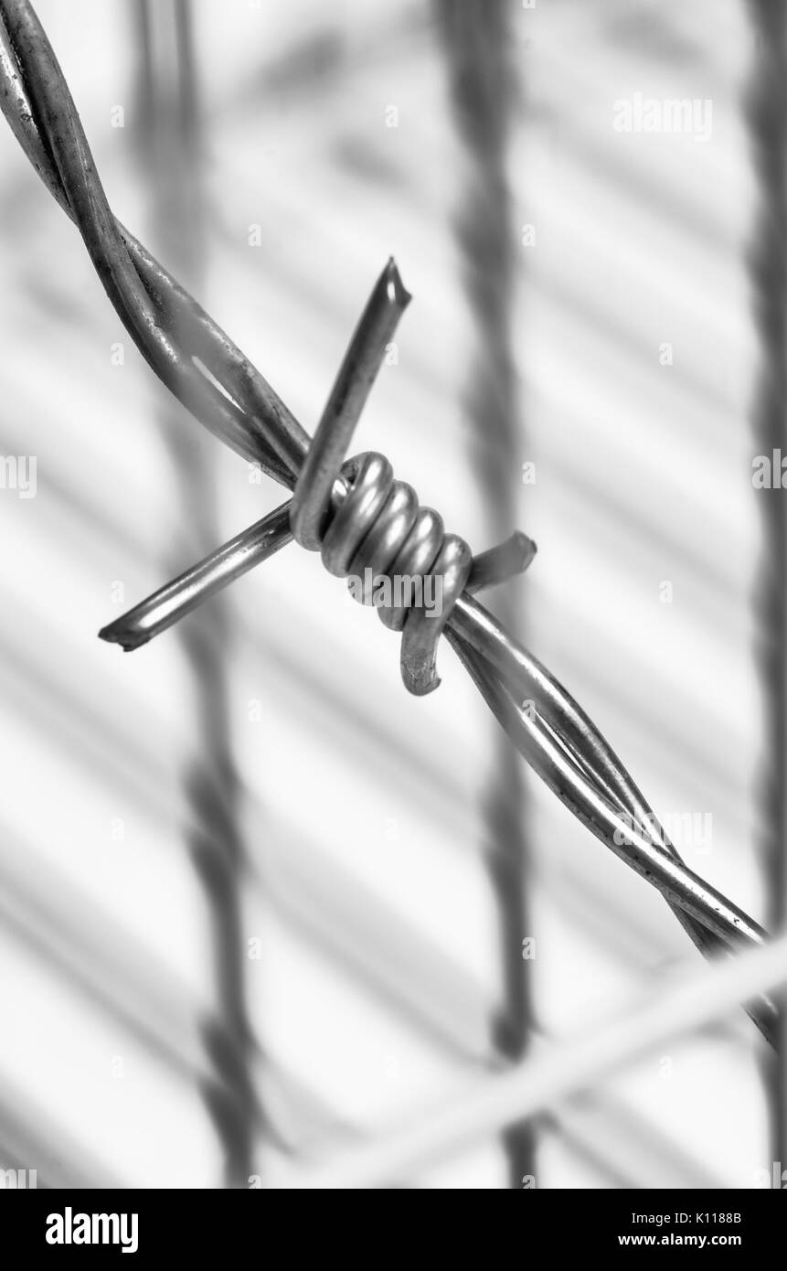 Barbed wire behind bars, a conceptual immigration shot Stock Photo - Alamy