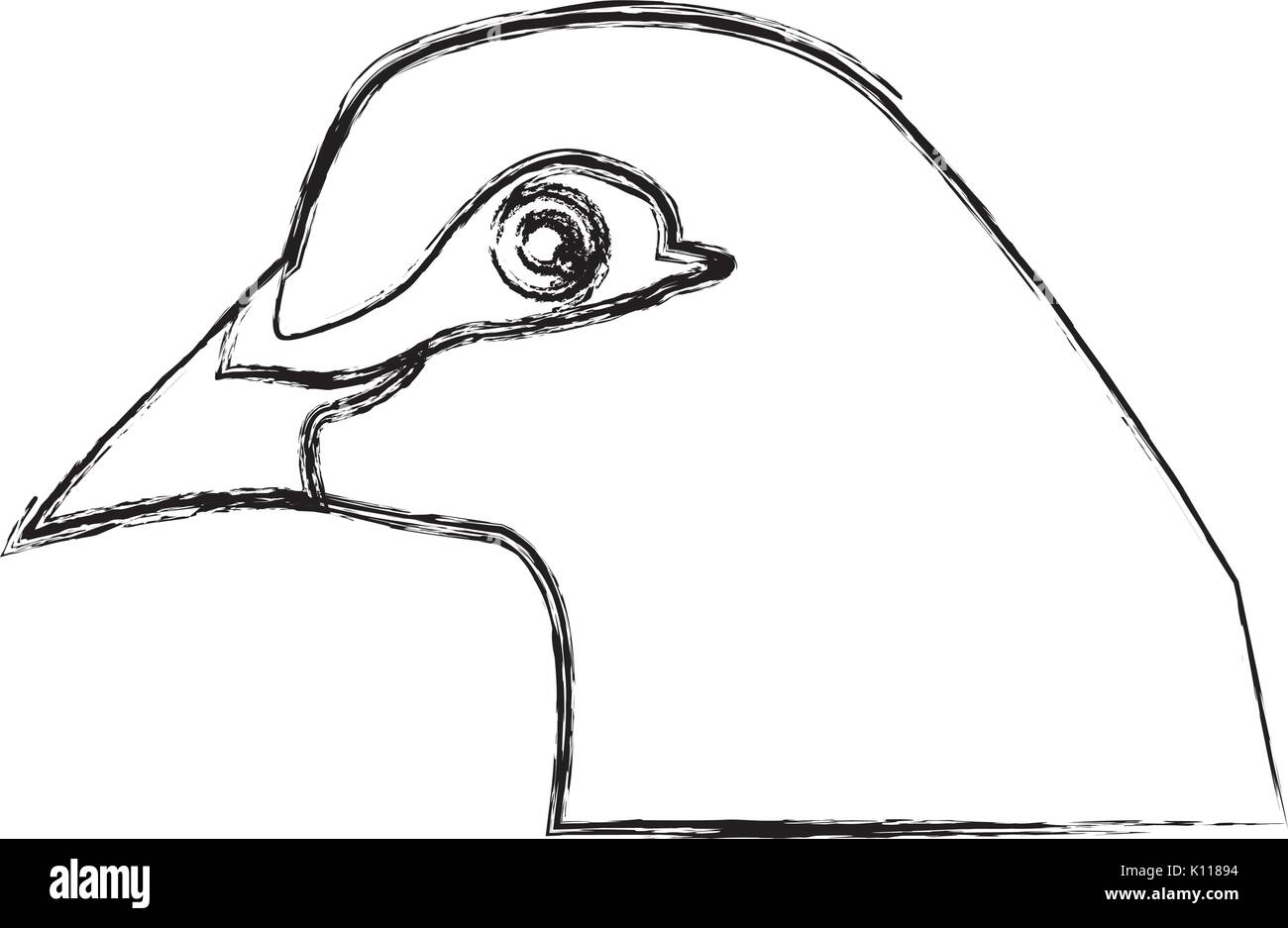 Bird pigeon head animal Black and White Stock Photos & Images - Alamy