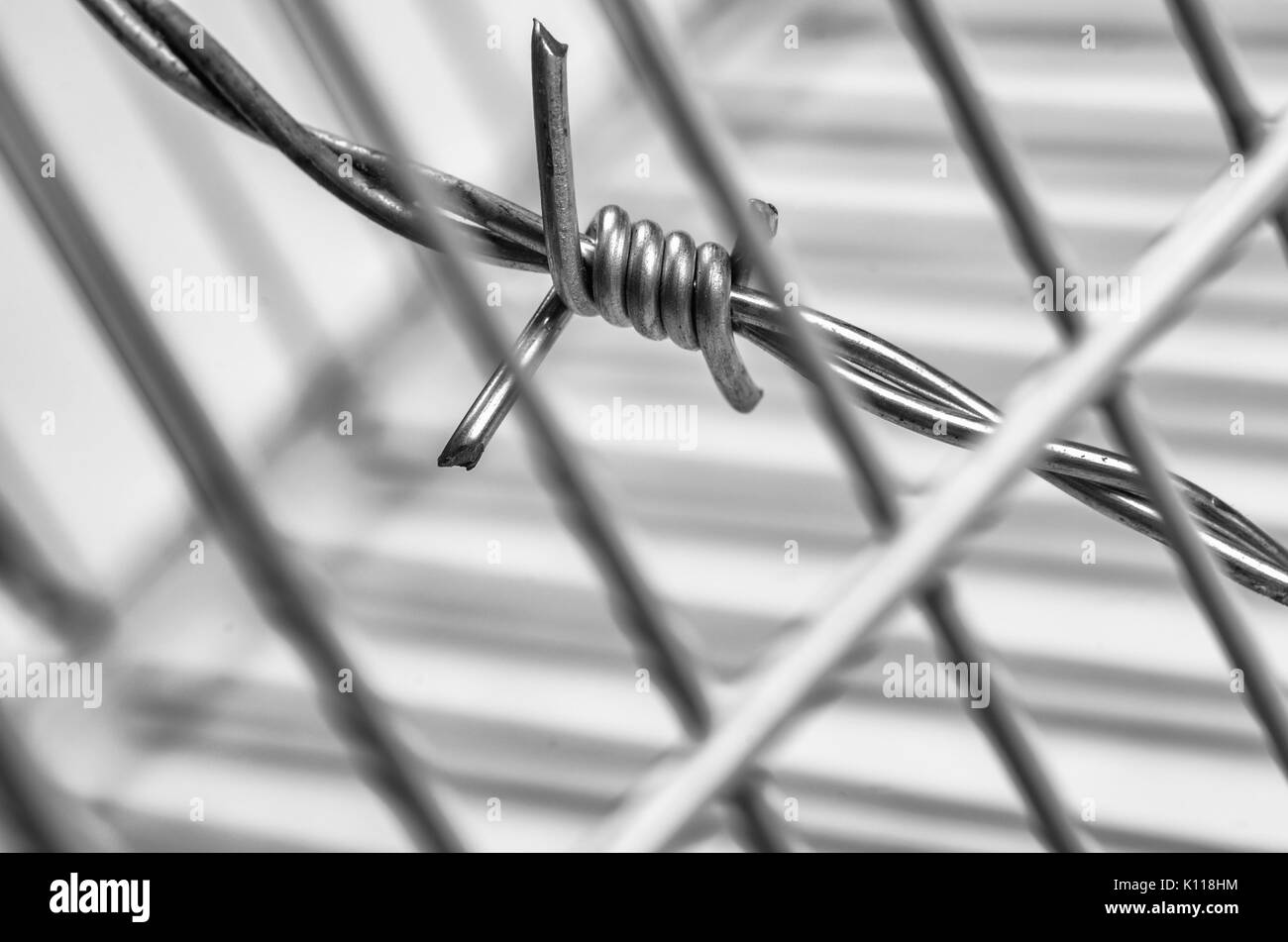 Barbed wire behind bars, a conceptual immigration shot Stock Photo - Alamy