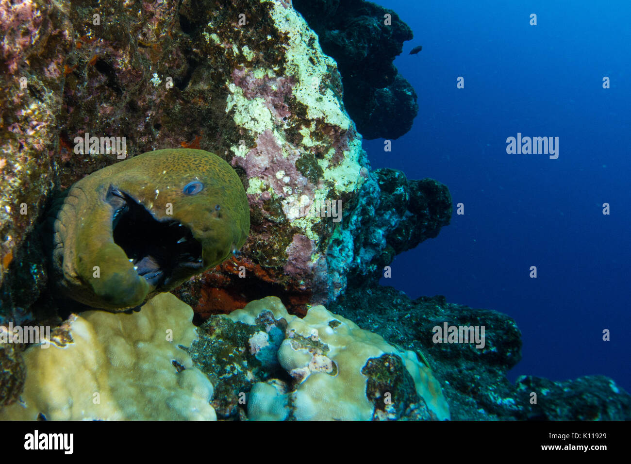 Hapatoni village hi-res stock photography and images - Alamy