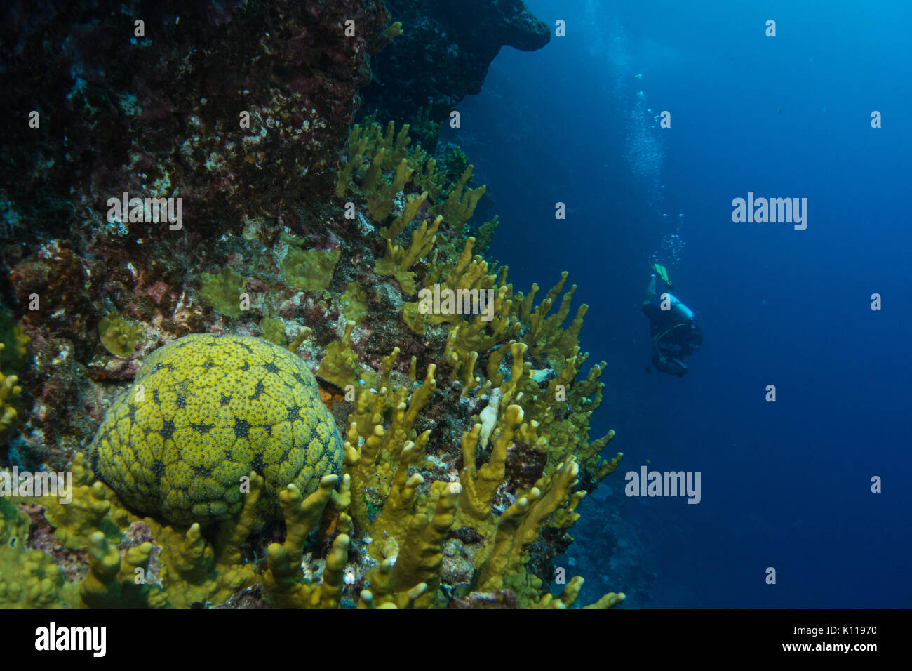 Tahuata hi-res stock photography and images - Alamy