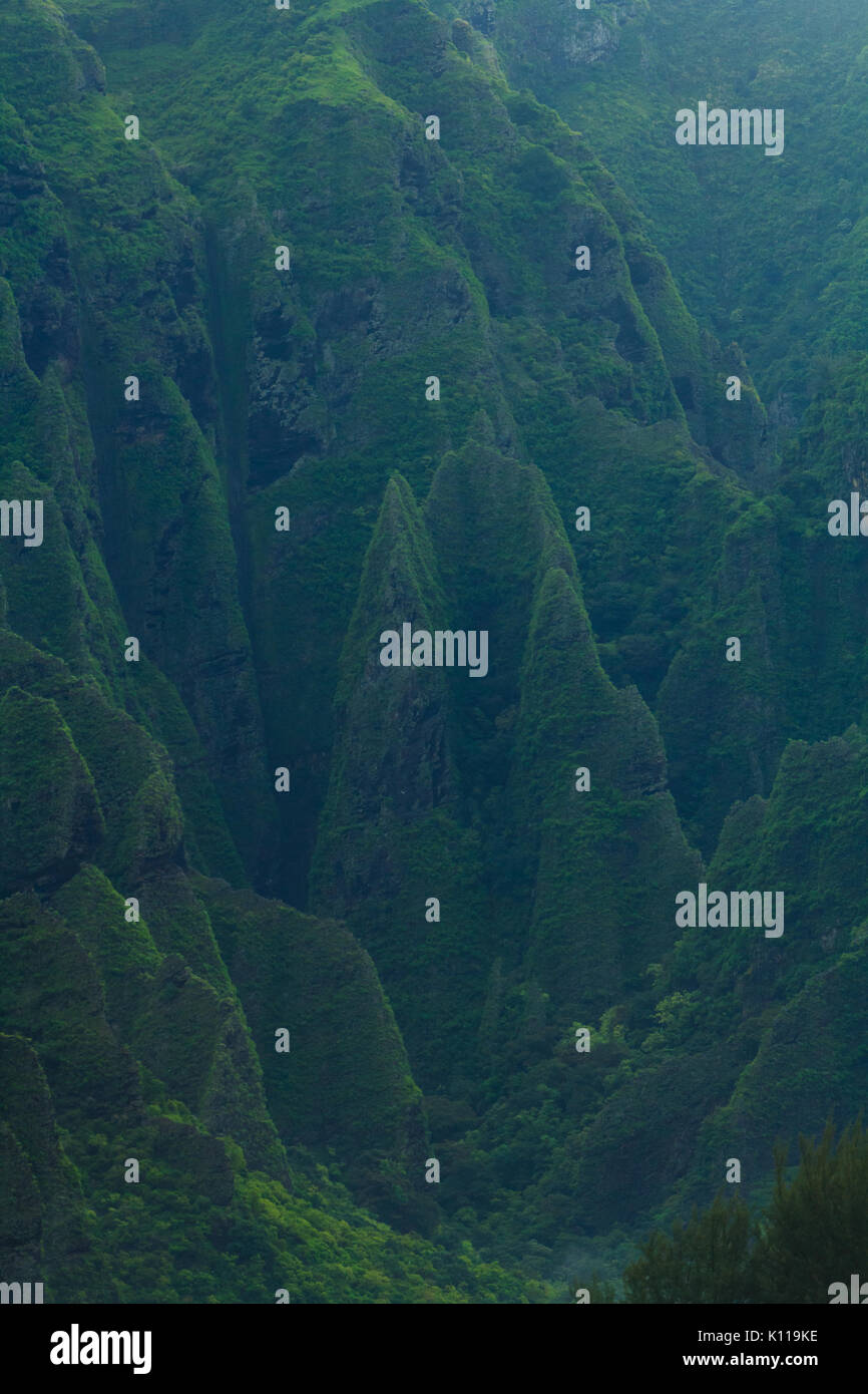 Hakaui valley hi-res stock photography and images - Alamy