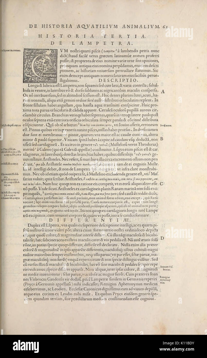 Aquatilium animalium historiae, liber primus (Page 63) BHL44715747 ...