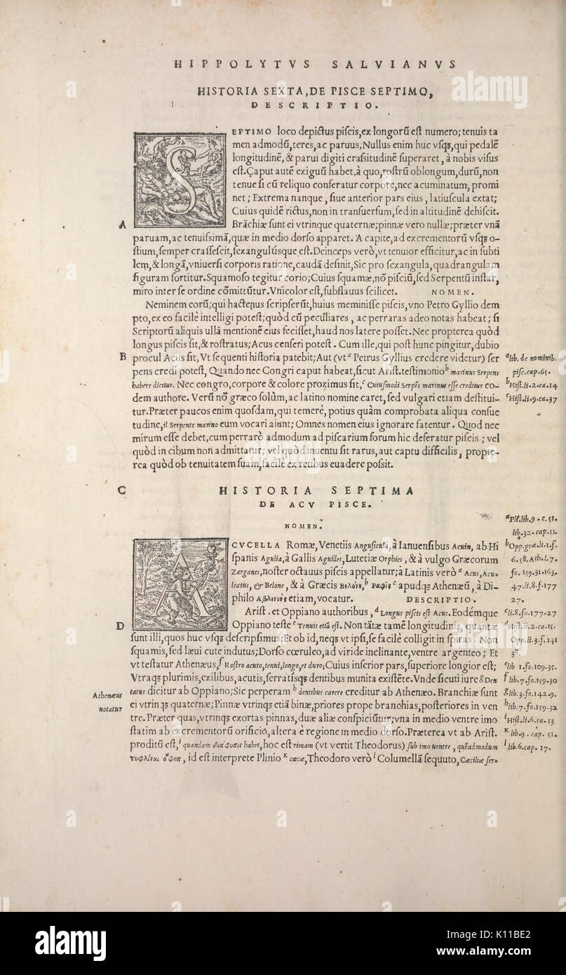 Aquatilium animalium historiae, liber primus BHL44715758 Stock Photo ...