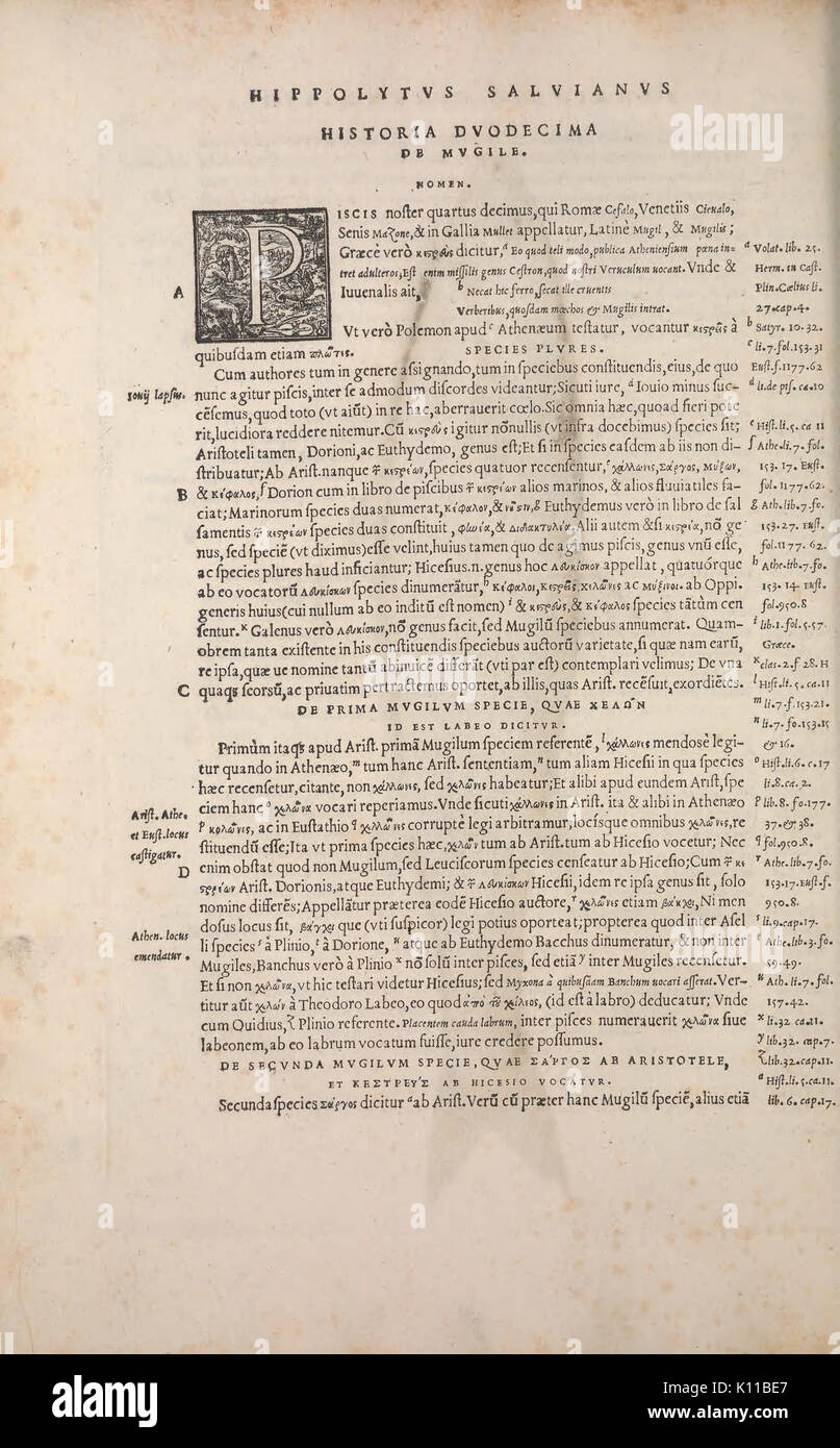 Aquatilium animalium historiae, liber primus BHL44715772 Stock Photo ...