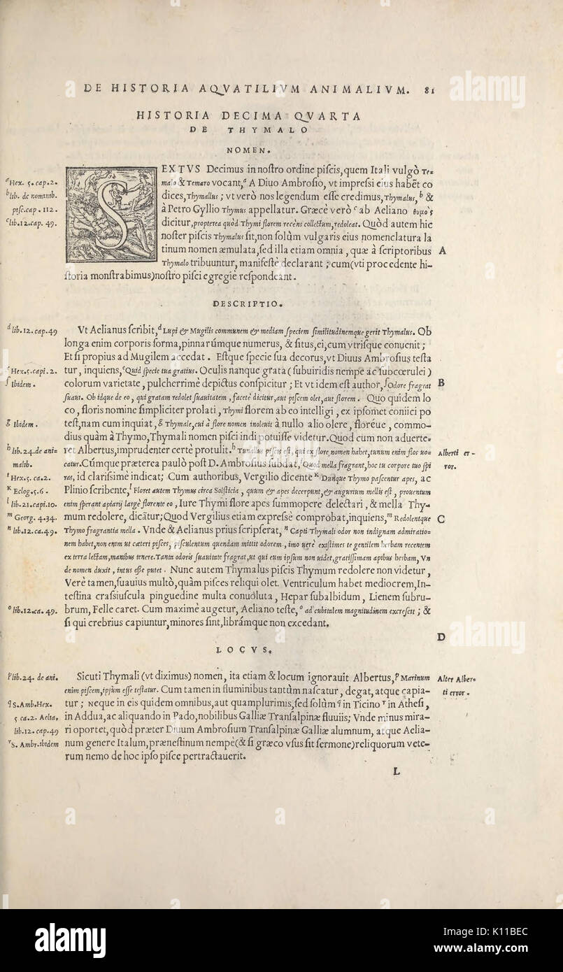 Aquatilium animalium historiae, liber primus (Page 81) BHL44715783 ...