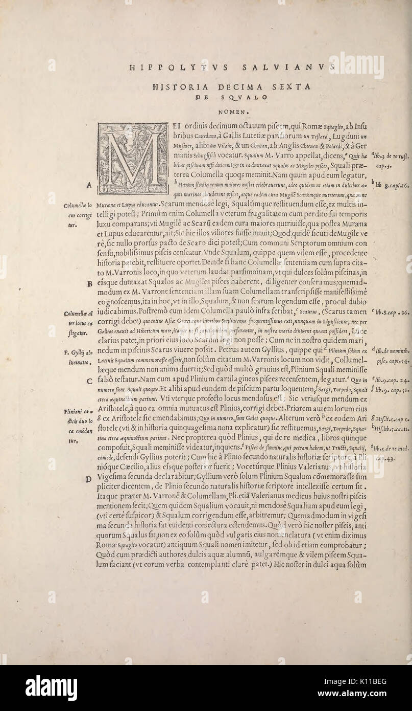 Aquatilium animalium historiae, liber primus BHL44715790 Stock Photo ...