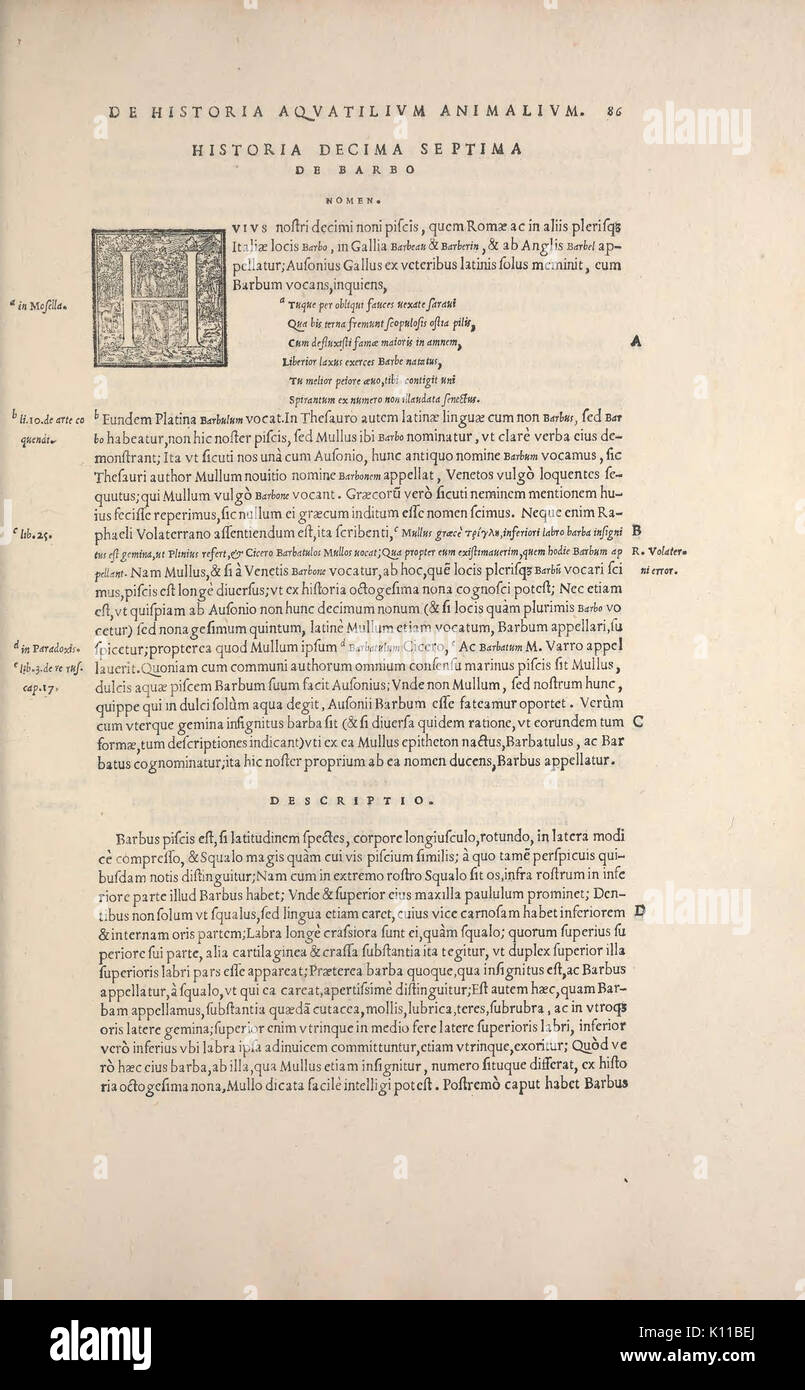 Aquatilium animalium historiae, liber primus (Page 86) BHL44715793 ...