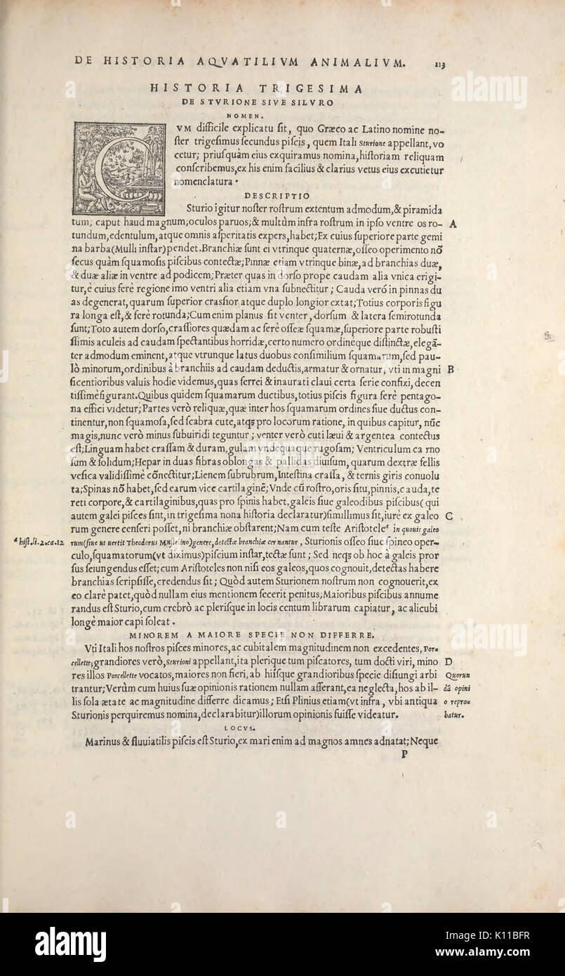Aquatilium animalium historiae, liber primus (Page 113) BHL44715847 ...