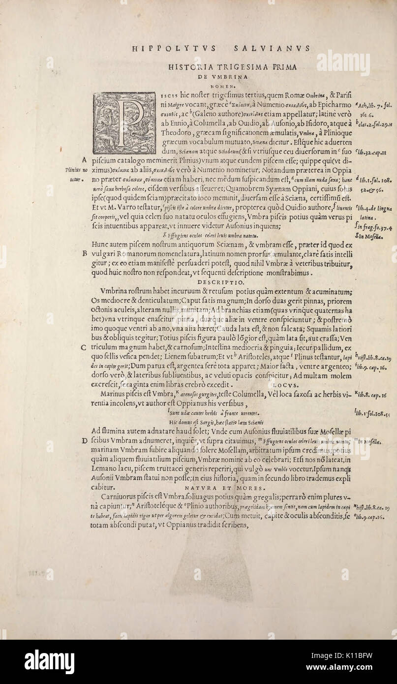 Aquatilium animalium historiae, liber primus BHL44715852 Stock Photo ...