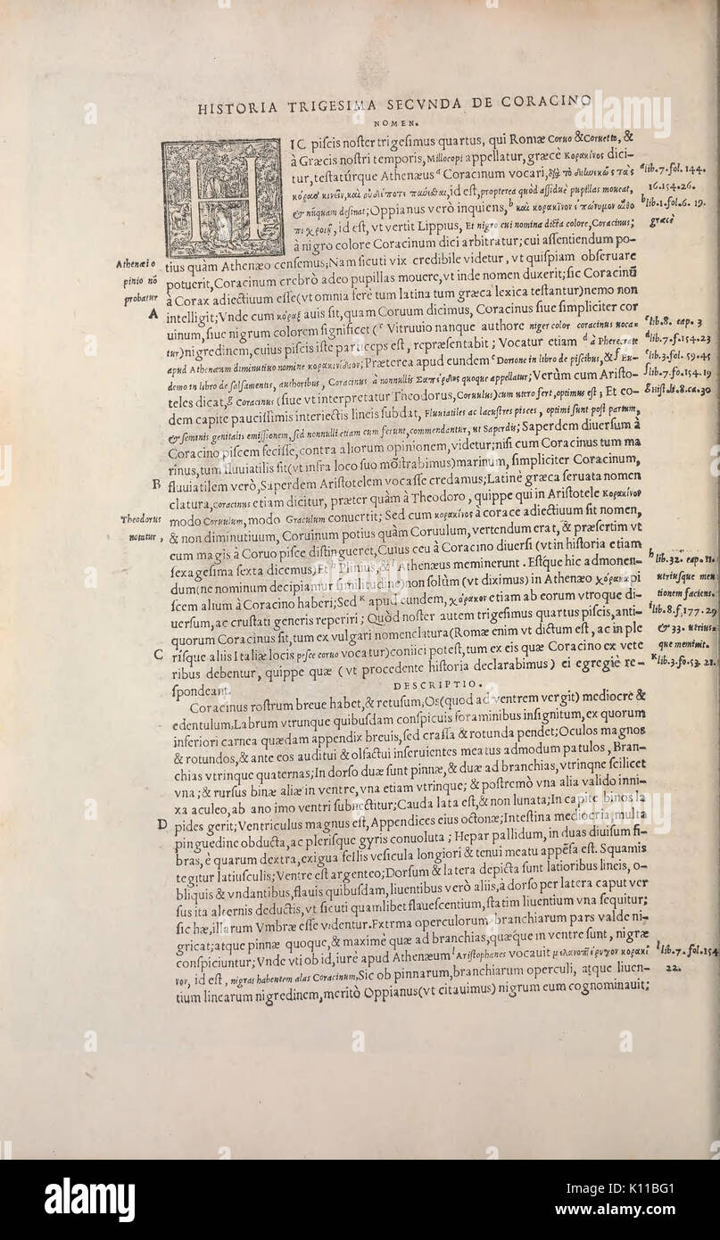 Aquatilium animalium historiae, liber primus BHL44715856 Stock Photo ...