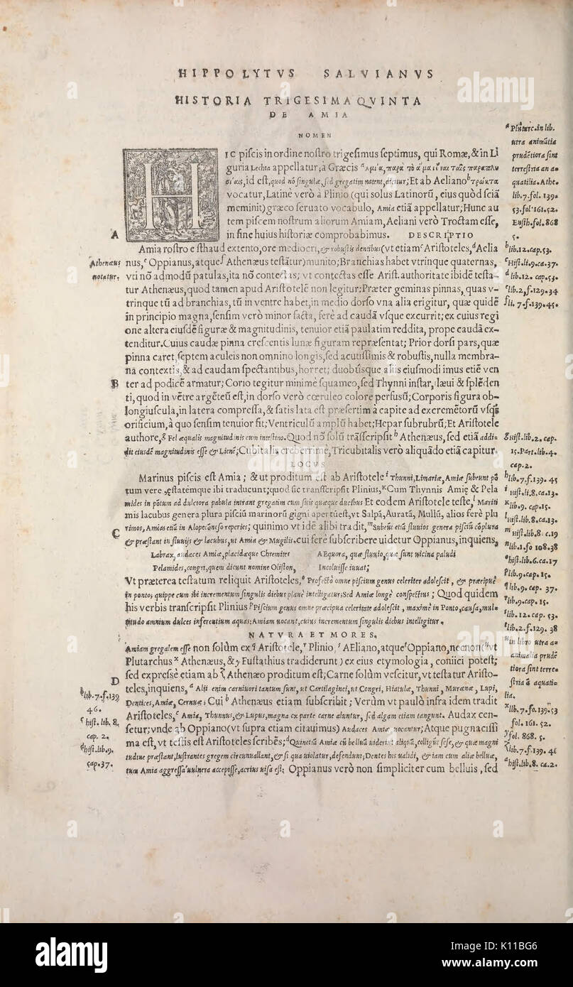 Aquatilium animalium historiae, liber primus BHL44715864 Stock Photo ...