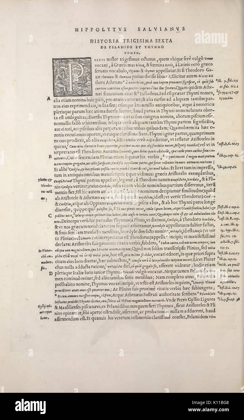 Aquatilium animalium historiae, liber primus BHL44715868 Stock Photo ...