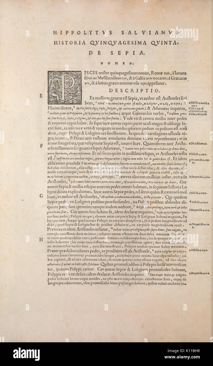 Aquatilium animalium historiae, liber primus BHL44715952 Stock Photo ...