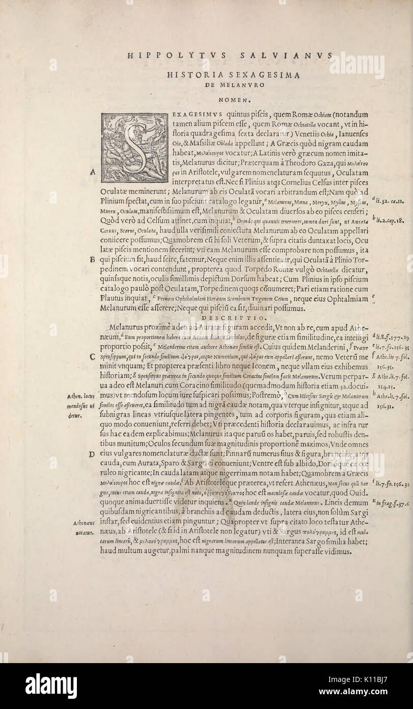 Aquatilium animalium historiae, liber primus BHL44715984 Stock Photo ...