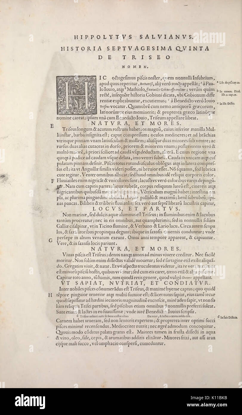 Aquatilium animalium historiae, liber primus BHL44716048 Stock Photo ...