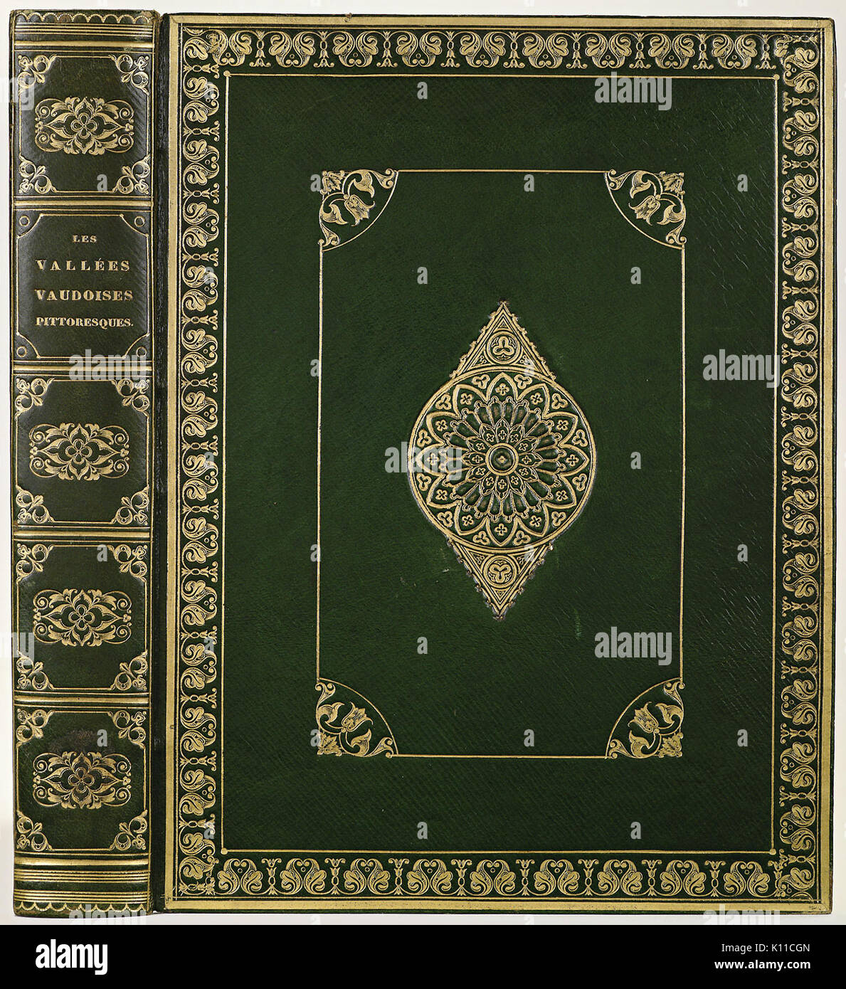 Van groen hi-res stock photography and images - Alamy