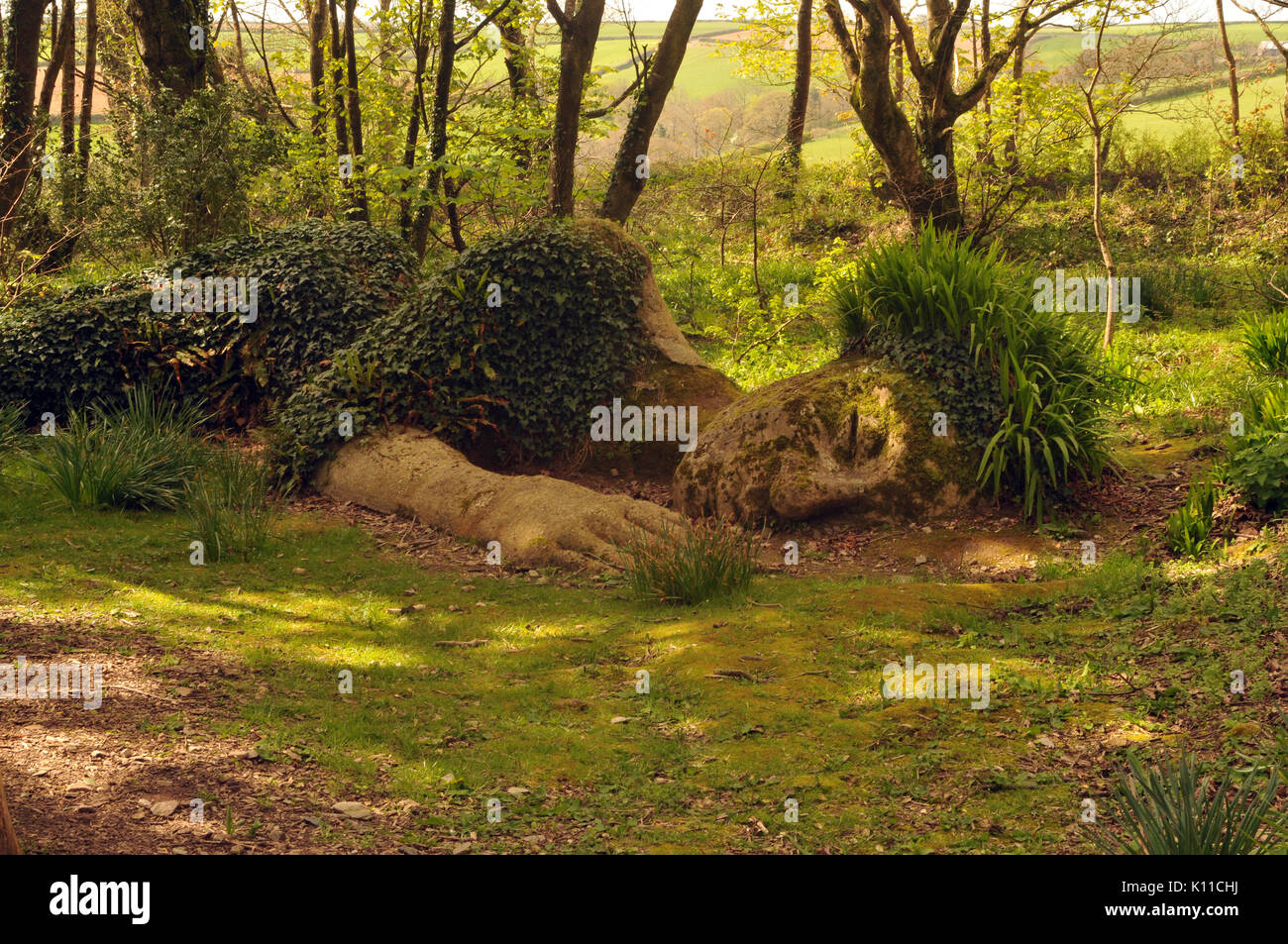 the lost gardens of Heligan in Cornwall gardens open to the public all ...