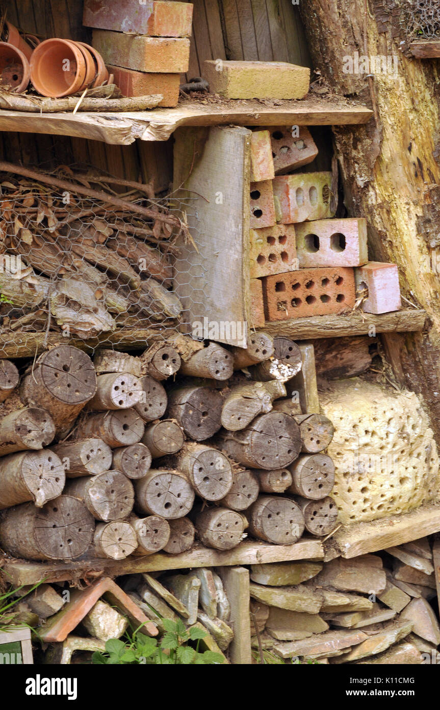 Ground nesting bees hi-res stock photography and images - Alamy