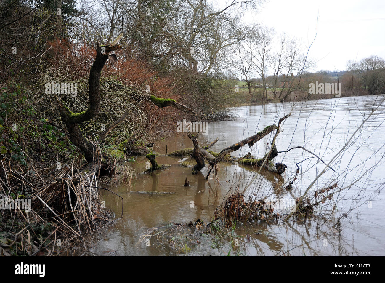 River Severn at Trimpley, near Bewdley Stock Photo - Alamy