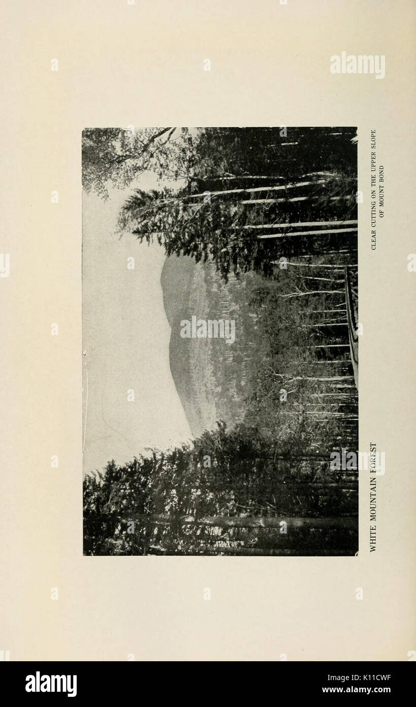 American forestry map hi-res stock photography and images - Alamy