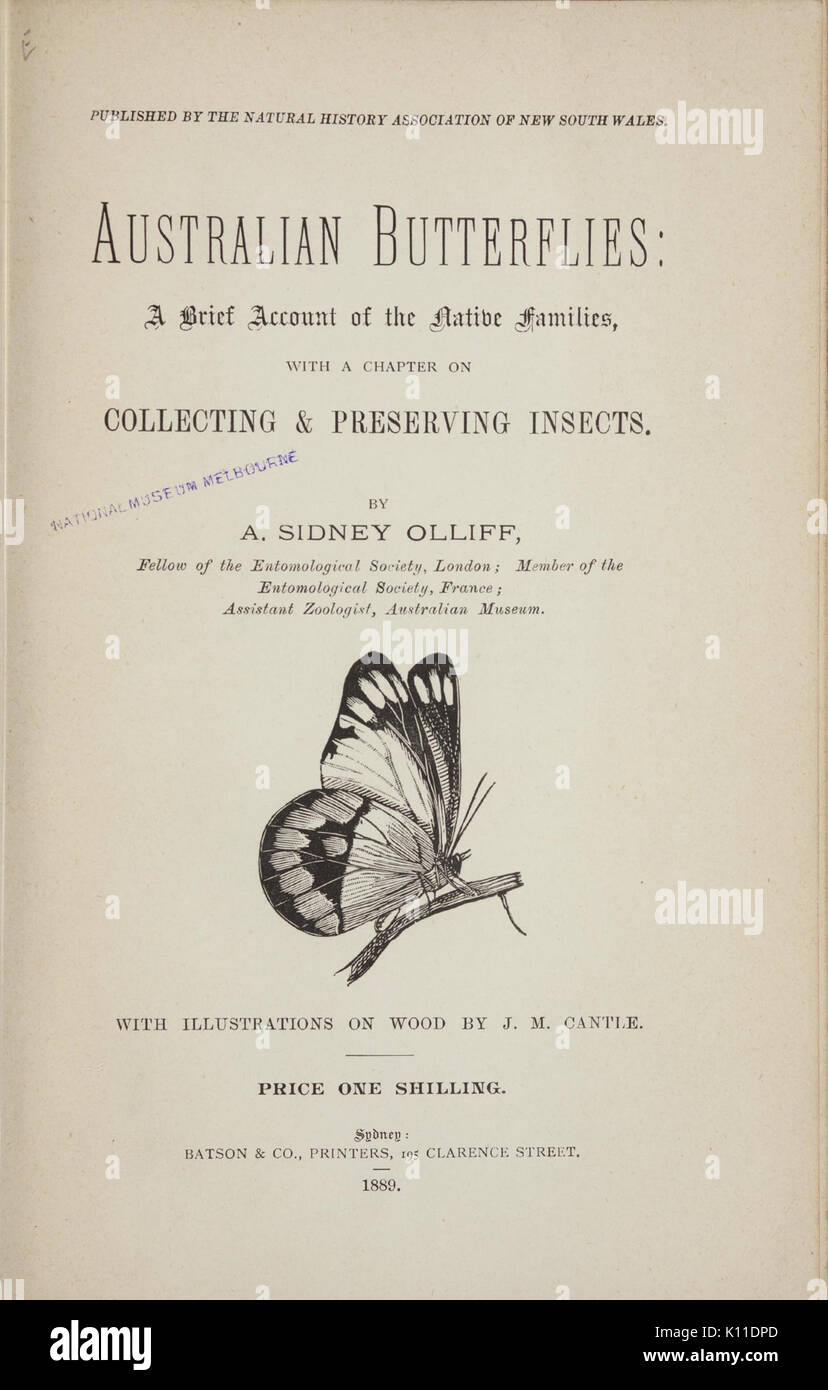 Lepidoptera families hi-res stock photography and images - Alamy