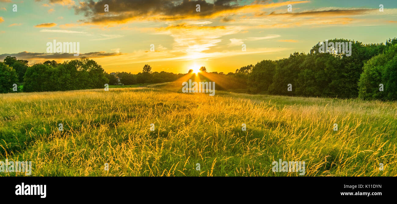 sunset in Wyken Croft park, Coventry, UK Stock Photo - Alamy