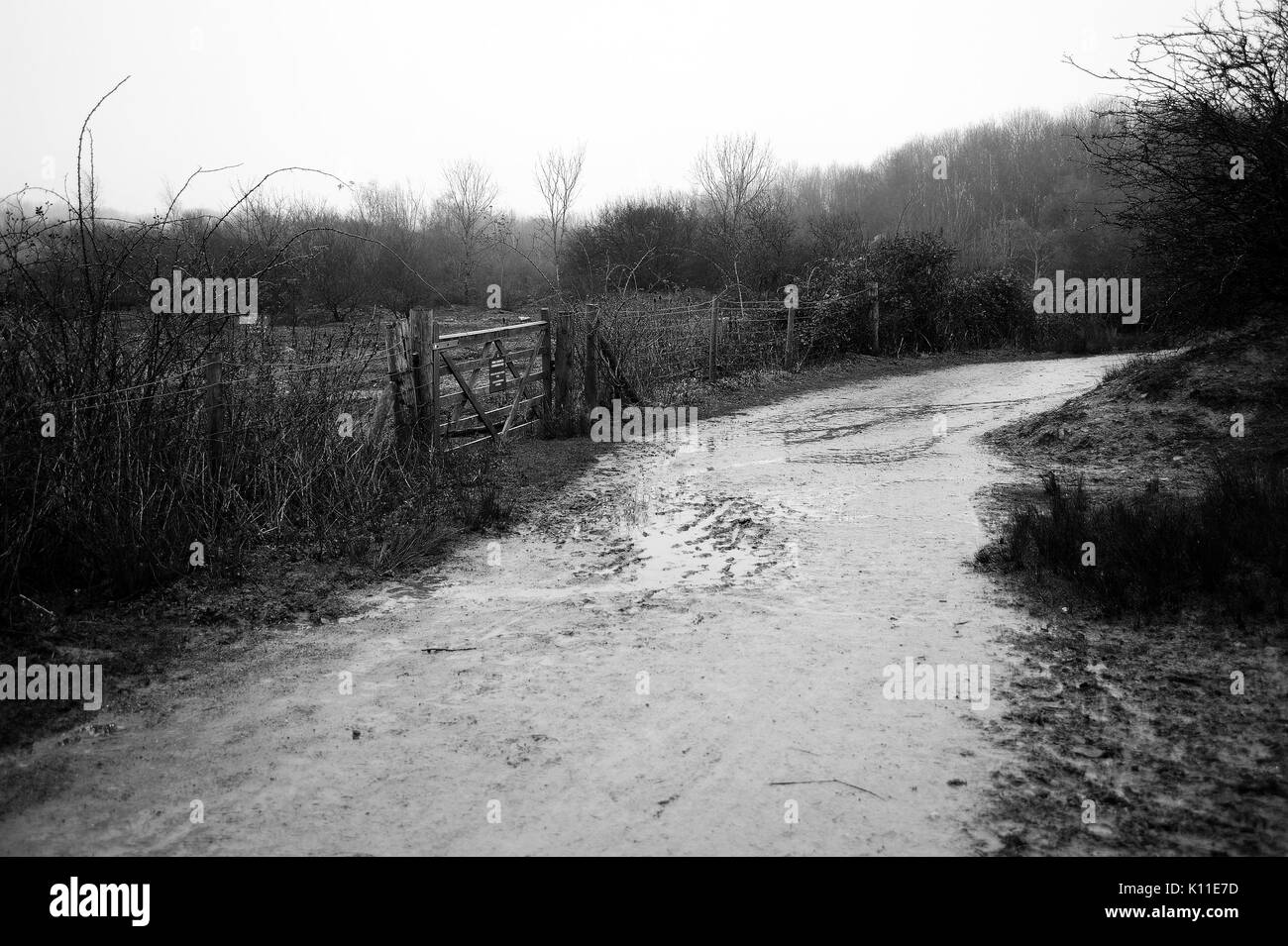 Wales Glamorgan Penarth Cosmeston Country High Resolution Stock ...