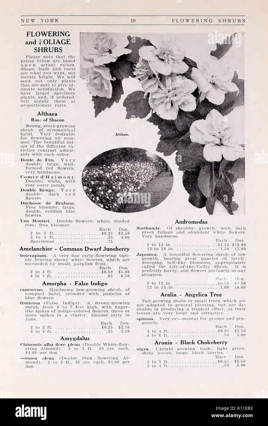 Commercial catalogue hi-res stock photography and images - Alamy