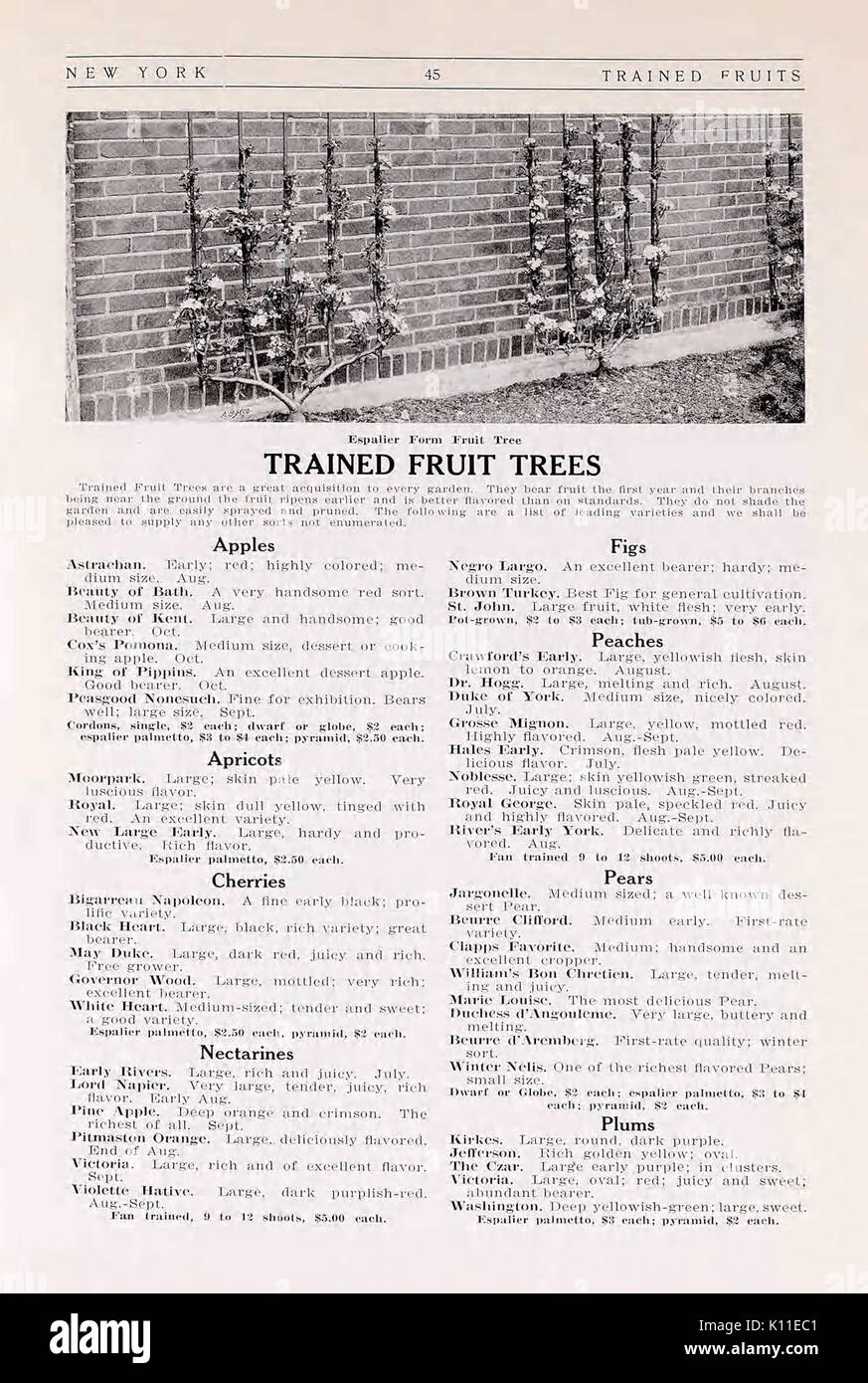 Annual spring catalogue BHL46116032 Stock Photo - Alamy