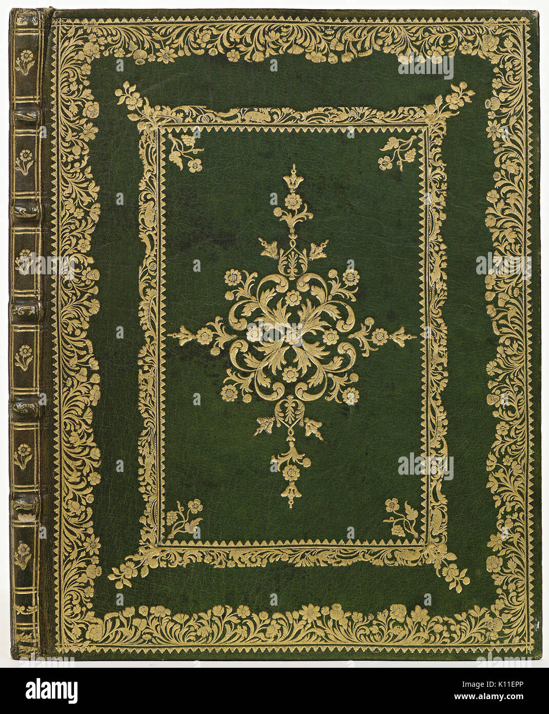 Olijfgroen hi-res stock photography and images - Alamy