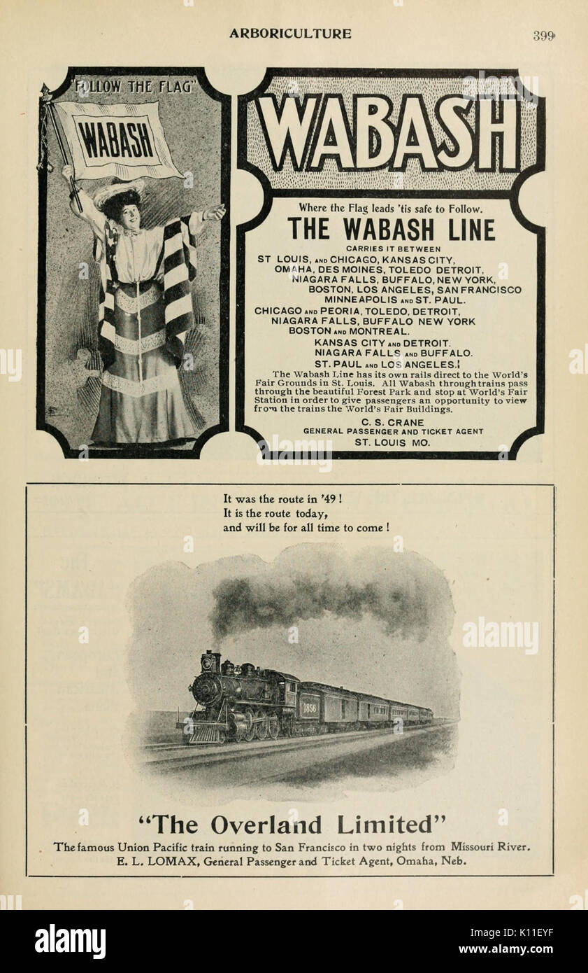 Tree removal and planting hi-res stock photography and images - Alamy