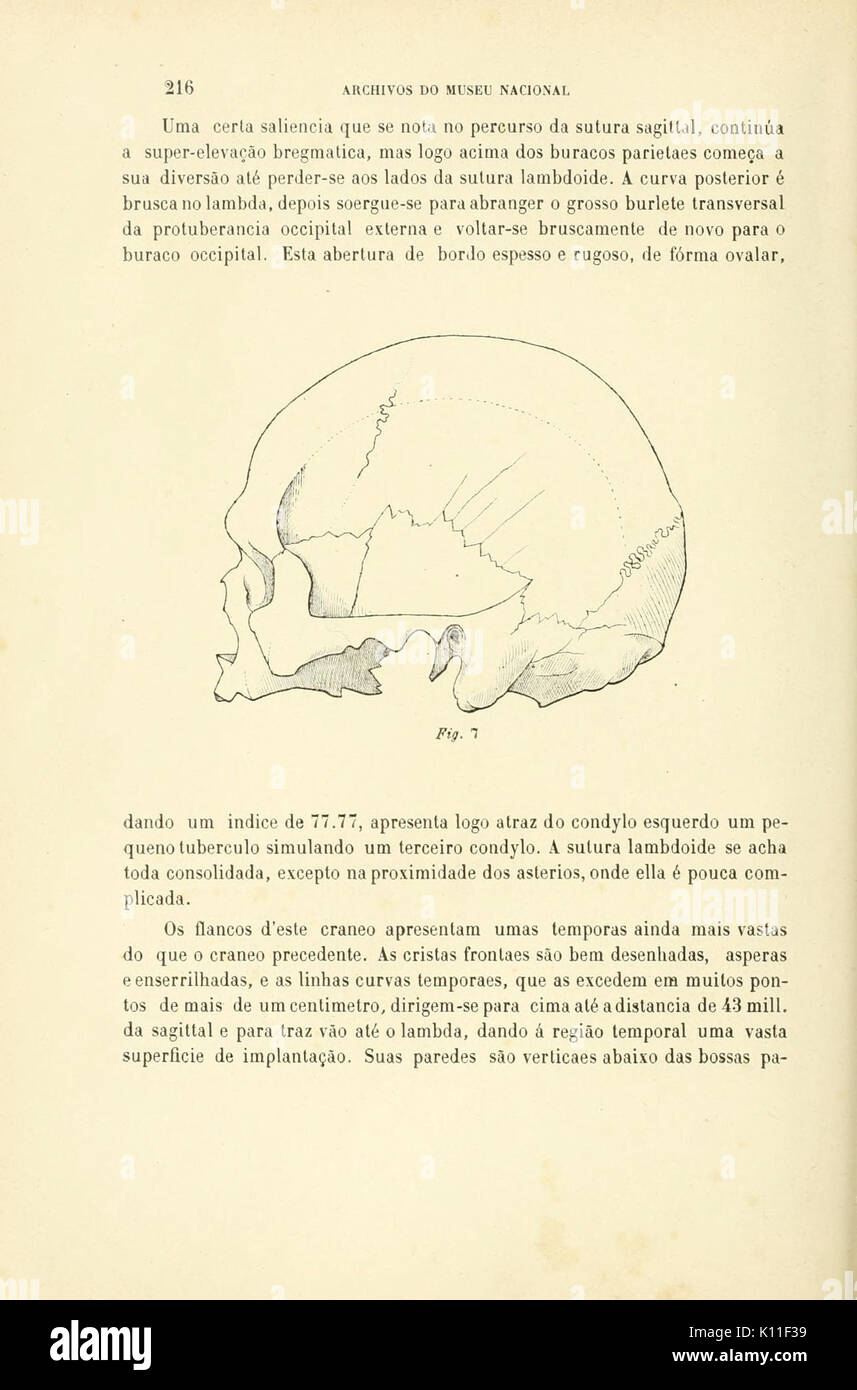 A page from the archives of the National Museum of Rio de Janeiro, showcasing significant ...