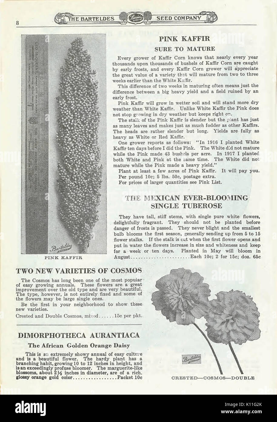 Seed innovations hi-res stock photography and images - Alamy