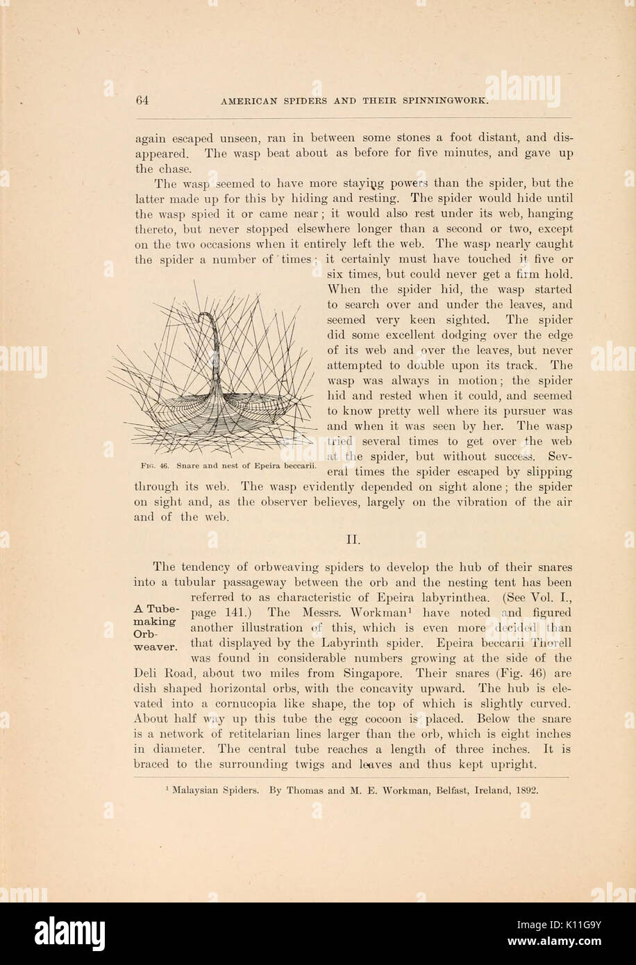 This page from 'American Spiders and Their Spinningwork' features a ...