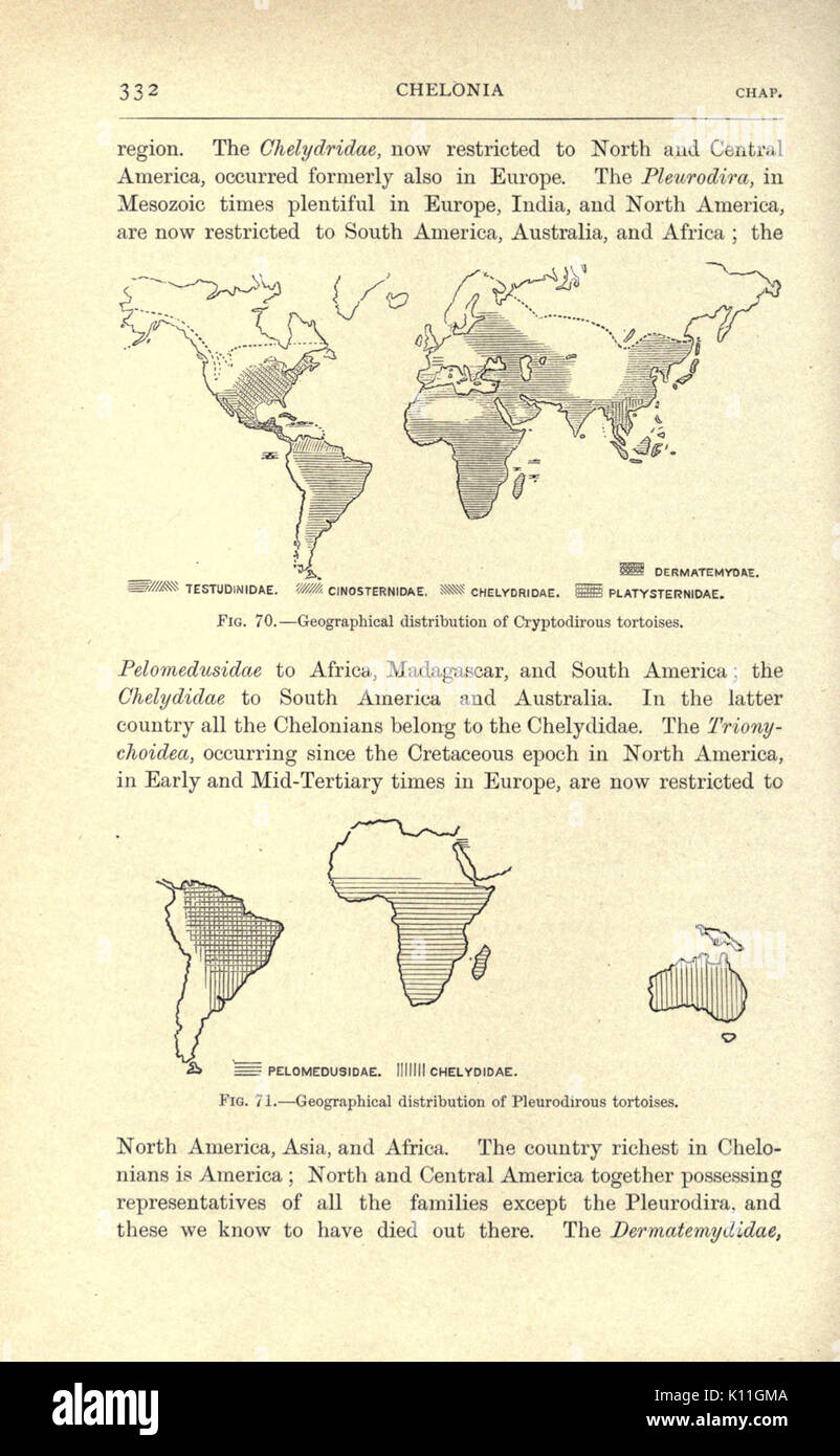 Amphibia and reptiles (Page 332, Figs. 70 71) BHL23288403 Stock Photo ...