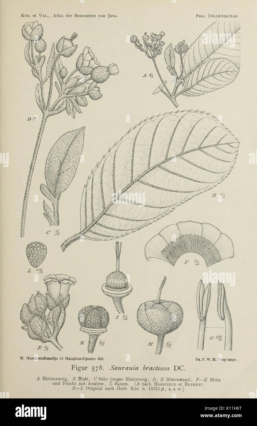 Tropical rainforests atlas hi-res stock photography and images - Alamy