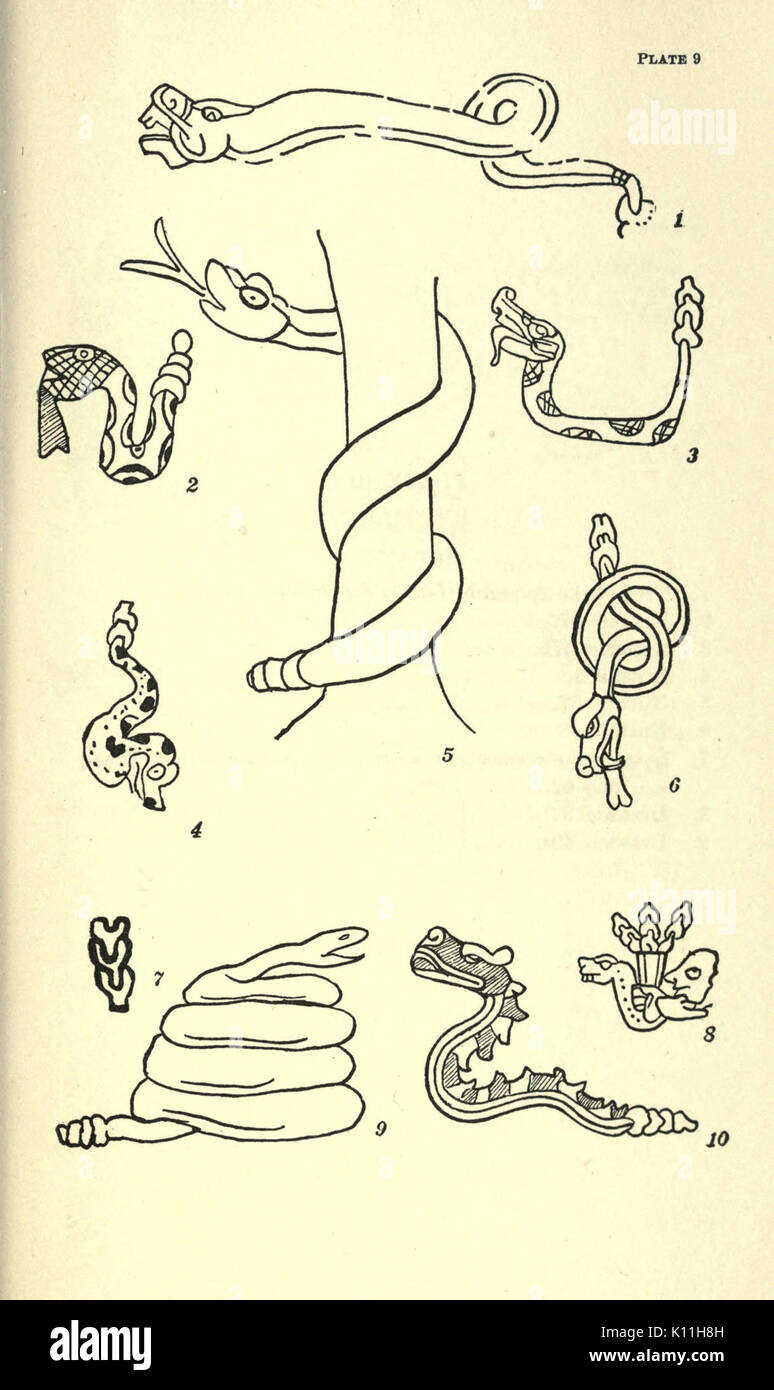Animal figures in the Maya codices (Plate 9) BHL41003934 Stock Photo ...