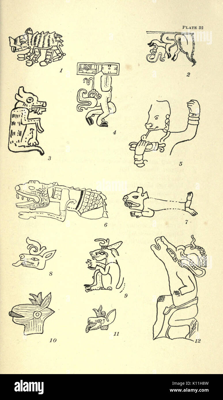 Animal figures in the Maya codices (Plate 32) BHL41003978 Stock Photo ...